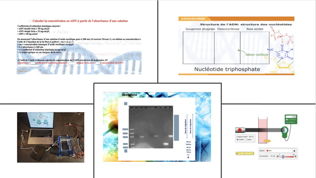Les TraAM STMS-Biotechnologies édition 2023: collaboration académies de ...