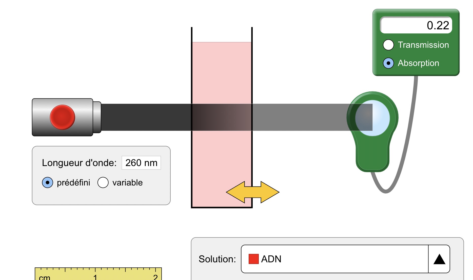 Analyse bioinformatique des amorces utilisées pour la PCR