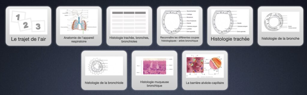 Les TraAM STMS-Biotechnologies édition 2023: collaboration académies de ...