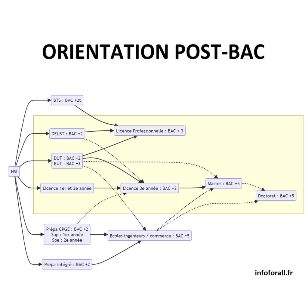 L’orientation post-bac avec la NSI. – Numérique et Sciences Informatiques
