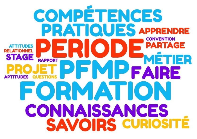 Période de Formation en Milieu Professionnel (P.F.M.P) – S.B.S.S.A.